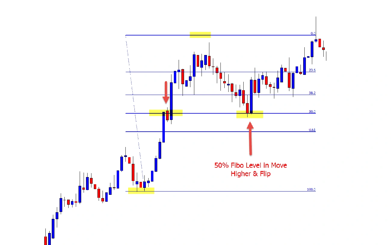 How to Use Fibonacci Retracement Levels: A Trader's Step-by-Step Guide ...